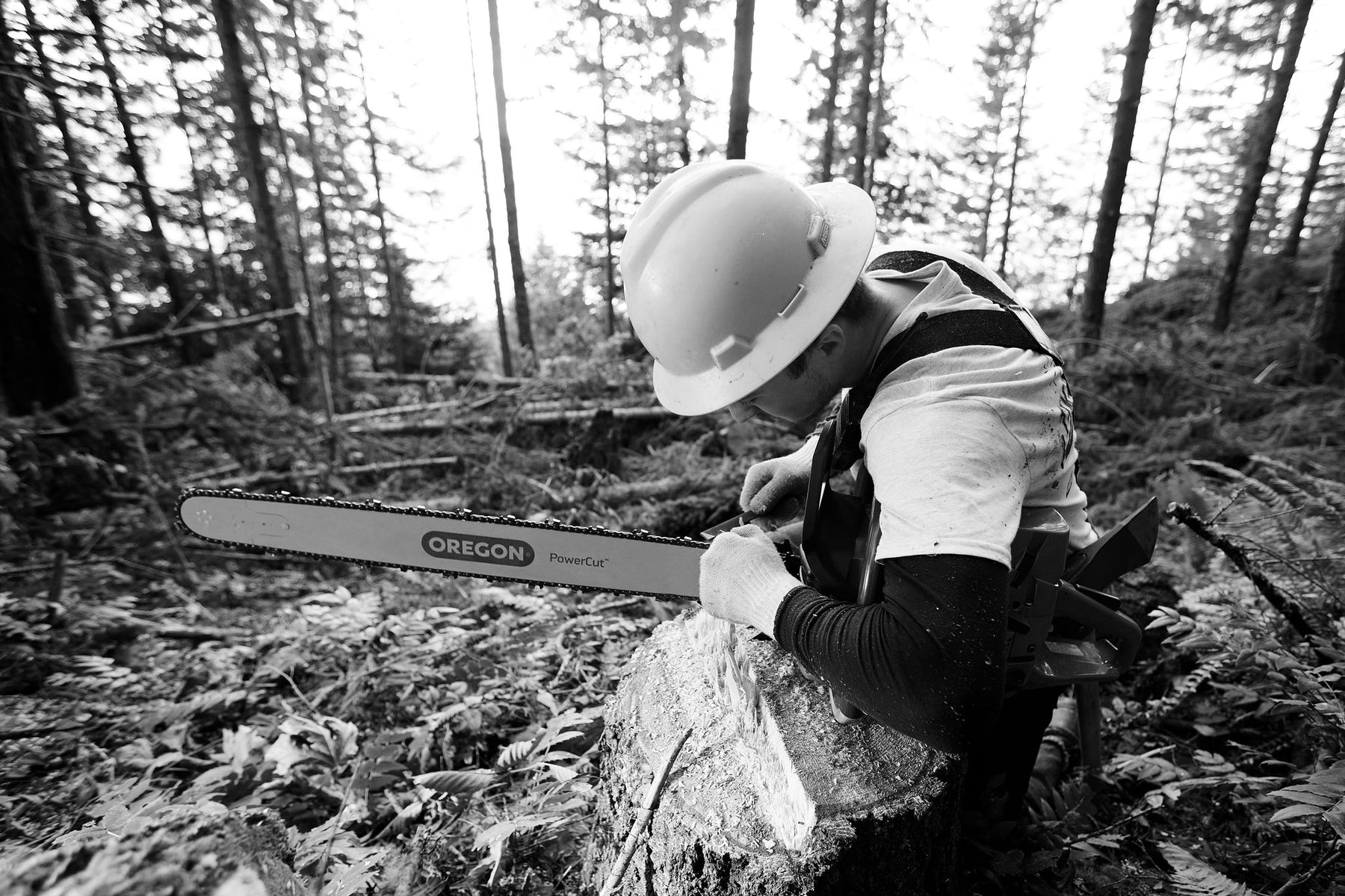 On Sale – American Forestry