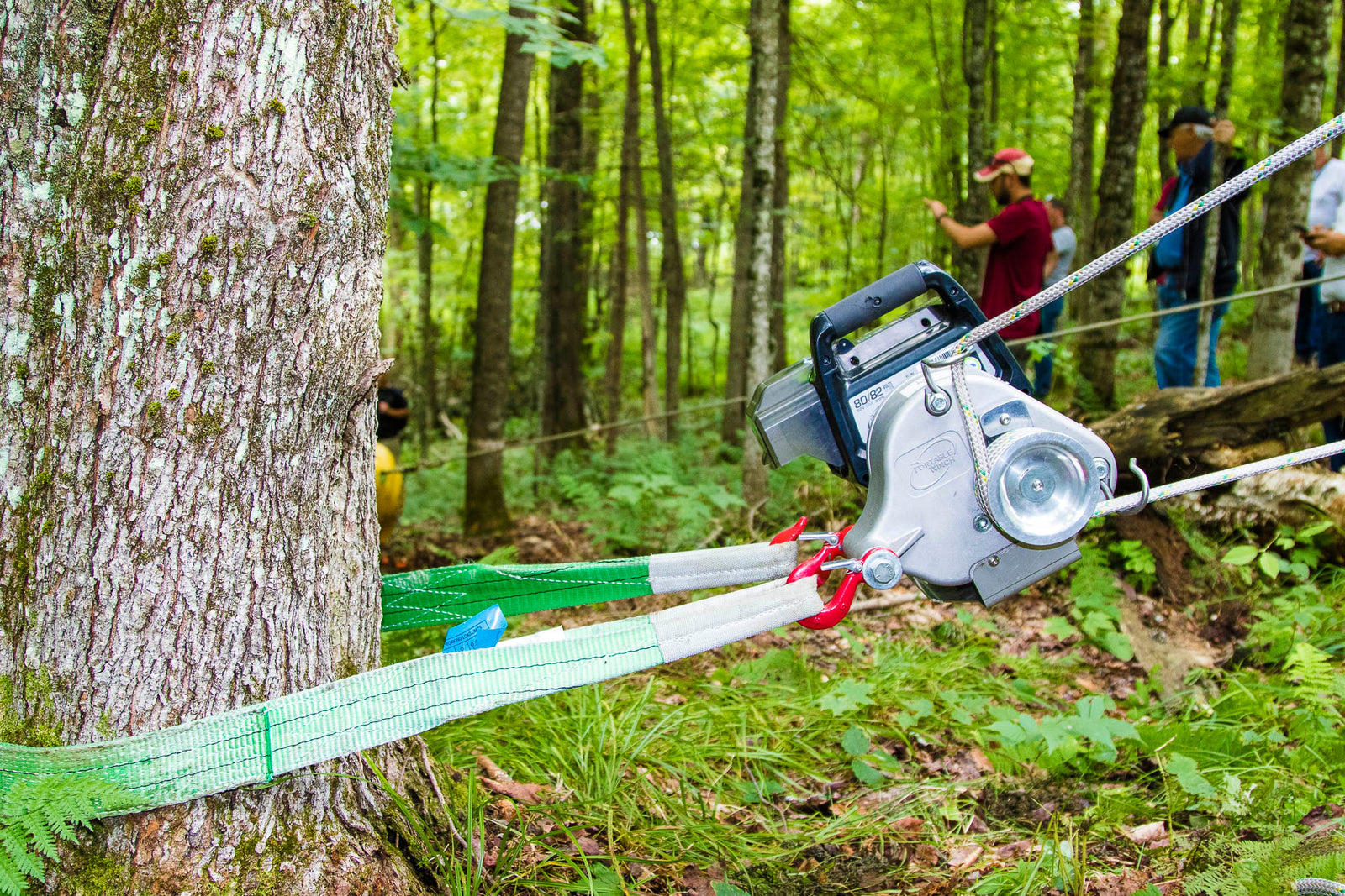 American Forestry