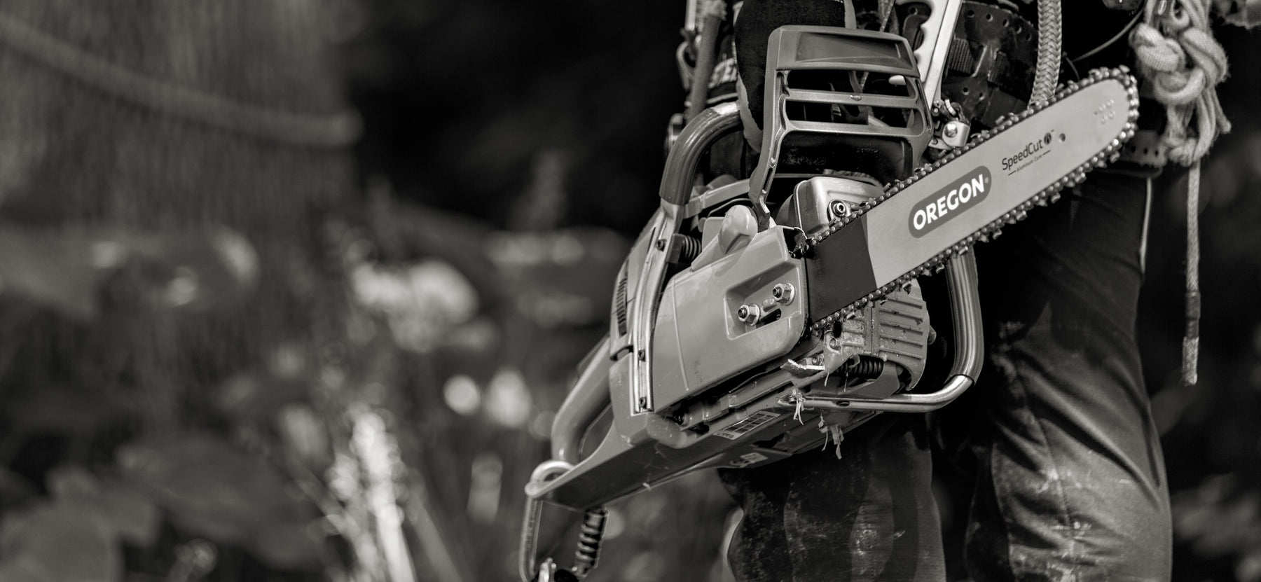 Chain & Bar Combos – American Forestry