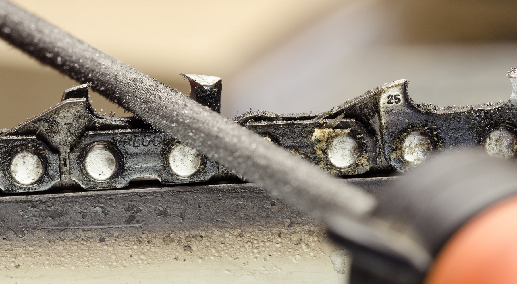 Chain & Bar Maintenance – American Forestry