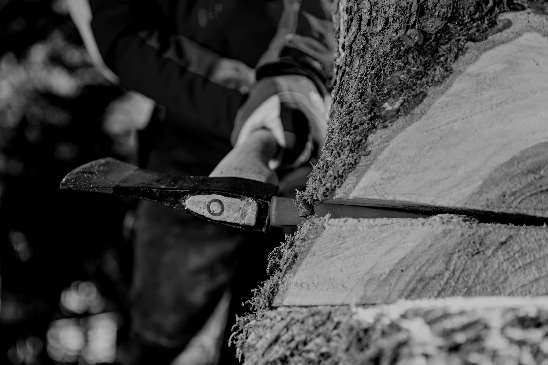 Logging Tools – American Forestry